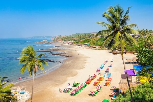 10 Interesting Facts about Goa - Goayogashala